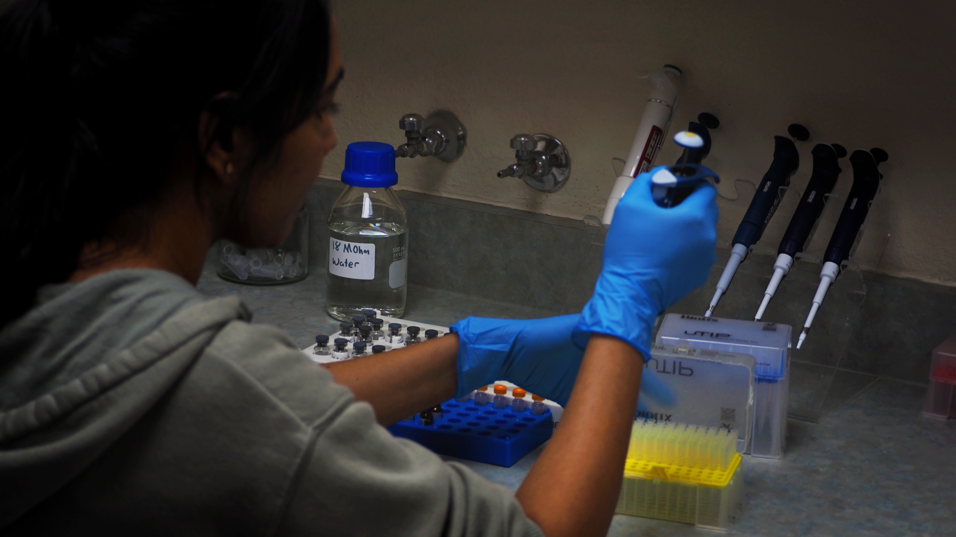 Biolab Services | MZ Biolabs